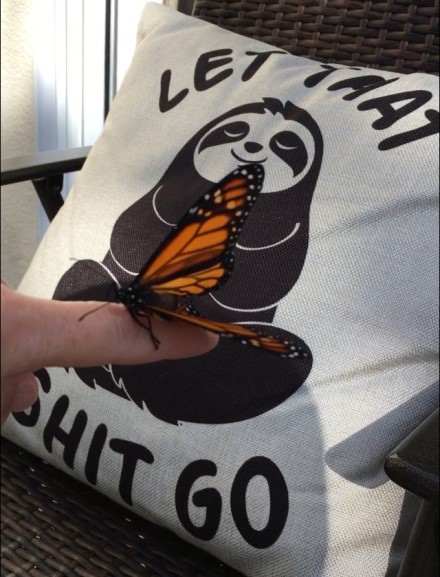 Poem: She Let Go – Yes to Dreams